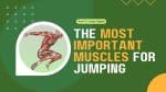 The Most Important Muscles For Jumping - A1Athlete