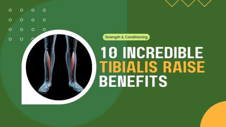 10 Incredible Tibialis Raise Benefits