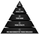 Mac McClung Jump Program Review 2023 - PJF Performance - A1Athlete