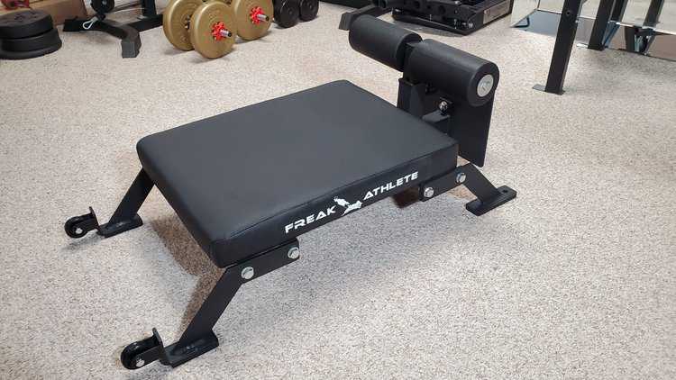 Nordic Mini Review for Enhanced Fitness | A1 Athlete