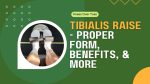 Improve Strength with Tibialis Raise Exercise | A1 Athlete